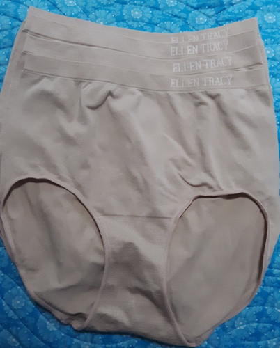Ellen Tracy Essentials Beige Briefs Size 5 Style 514550 Qty 4 NWOT | eBay