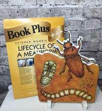 Sci Show: BOOK PLUS Life Cycle of a Mealworm Foam Science Model