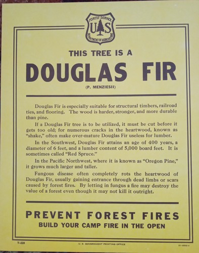 Vintage National Forest Service Paper Sign. "Douglas Fir" Tree ...