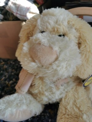 Cuddles Collection for sale | eBay