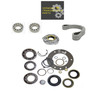 Ford BW1356 13-56 Transfer Case Rebuild Kit Bearings Seals Chain Pump ...