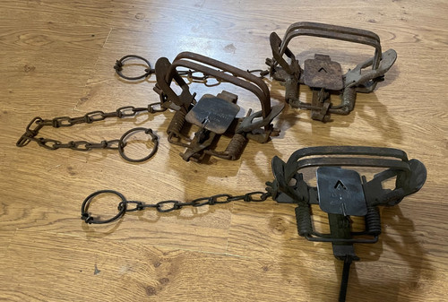 Three #3 and #4 coil spring traps with offset jaws, strong trapping ...