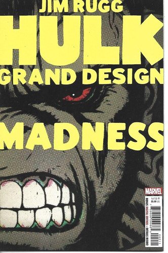 HULK GRAND DESIGN MADNESS #1 JIM RUGG COVER A MARVEL COMICS 2022 BAGGED ...