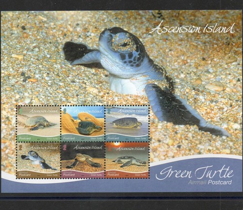 ASCENSION, 2015,SEA TURTLES, S/S,.MNH, | eBay