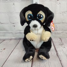 Ranger the Dog - Beanie Bellies - Beaniepedia