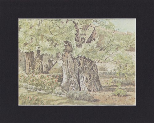 8X10" Matted Print Art Picture Gordon Wetmore: Garden of Gethsemane ...
