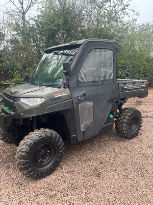 Gator for sale | eBay