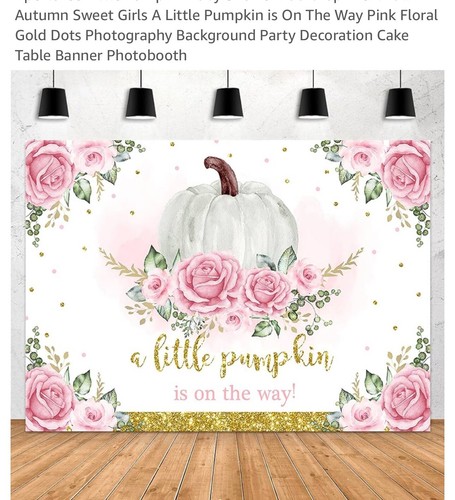 Baby Girl sweet Little Pumpkin Backdrop | eBay