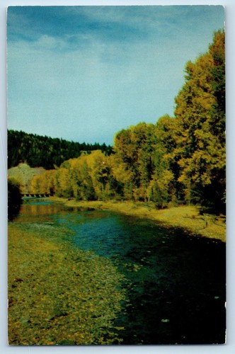 c1950's Grande Rounde River Oregon OR Grove Tree Flowing Water Overview ...