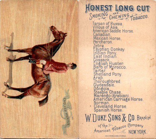 N101 Duke, Breeds of Horses, 1892, English Hunter Horse (B) | eBay