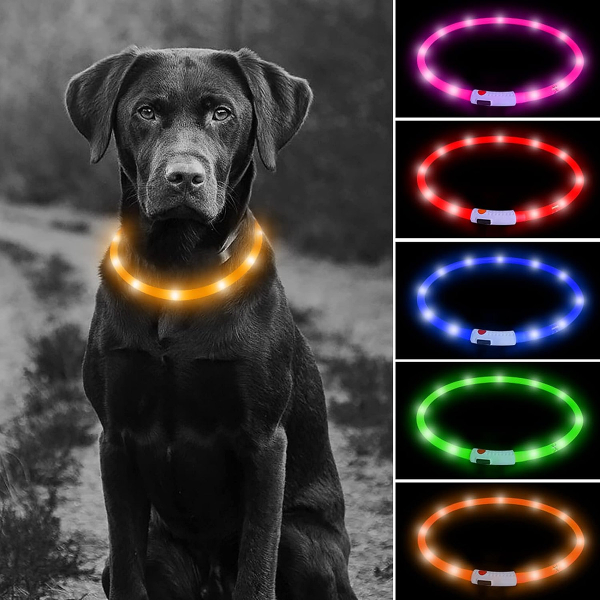 Son Seguros Los Collares De Perro Led
