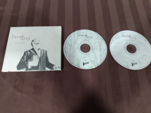 Foundling [Digipak] by David Gray (CD, Aug-2010, 2 Discs, Downtown ...