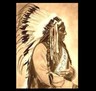 1884 Chief Sitting Bull PHOTO with One Bull,St Paul, Battle of Little ...