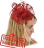 Spring Race Carnival Melbourne Cup Feather Fascinator Headband Clip ...