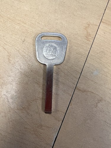 Genuine GM Door Lock and Ignition Key 23489478 valet Key | eBay