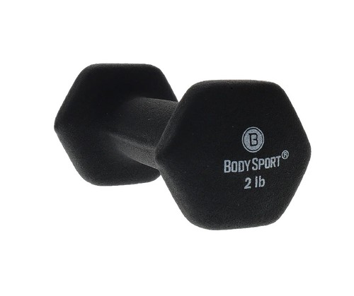 Pure Barre Body Sport 2 lb Hand Weights | eBay