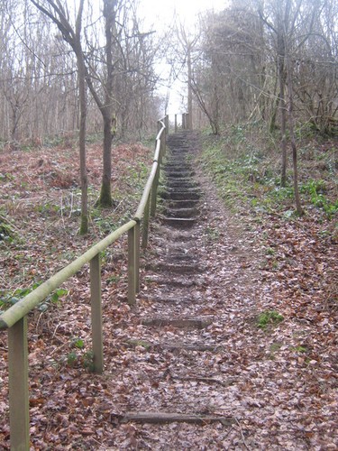 Photo A2 Steps in Manning's Wood Brasted Chart This long flight of ...