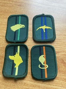 scout patrol badges products for sale | eBay