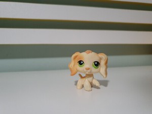 dnieall | eBay Stores