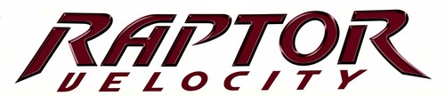 1 RV Camper Keystone Raptor Velocity Graphic Decal Logo -1065-2 | eBay