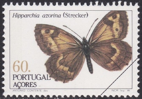 Specimen, Portugal Azores Sc352 Insect, Butterfly | eBay