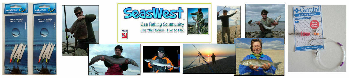 seaswest | eBay Stores