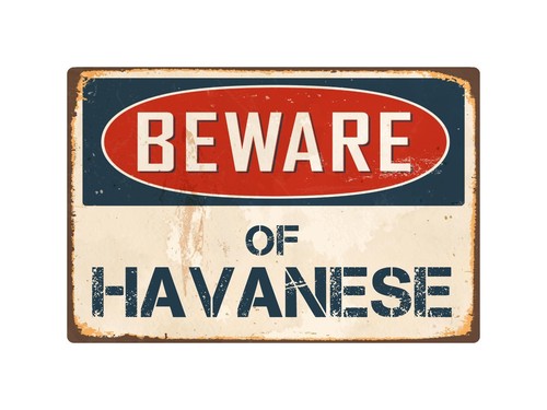 Beware Of Havanese 8" x 12" Vintage Aluminum Retro Metal Sign VS205 | eBay