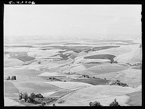 Nez Perce County,Idaho,ID,Farm Security Administration,Russell Lee,FSA ...