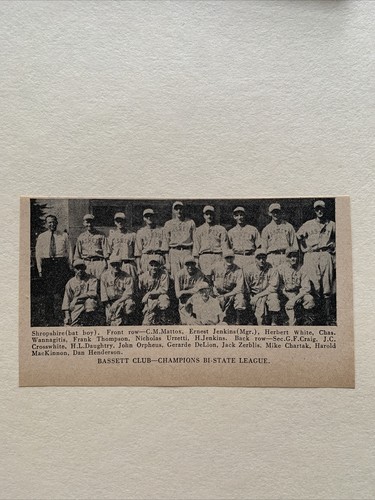 Bassett Furnituremakers VA Mike Chartak Cloy Mattox 1936 Baseball Team ...