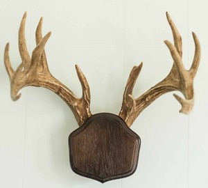 Antler Mounting Kits products for sale | eBay