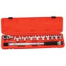 Genius Tools 27 Piece Torque Screwdriver Set, 9 ~ 50 in. lbs. - TO-227L ...