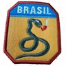 b3634 WW 2 Brazil Army Expeditionary Force Brasil Officer 1st model ...