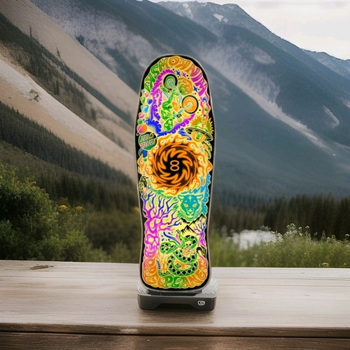 Santa Cruz Winkowski Dope Planet 2 Deck | eBay