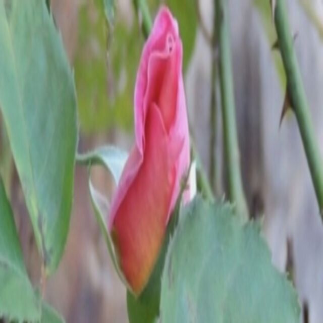 Sweet Deals at The.Thrifty.Pickle | eBay Stores