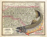 Brook Trout Unlimited Fly Fishing Club Minnesota State Map Art Print ...