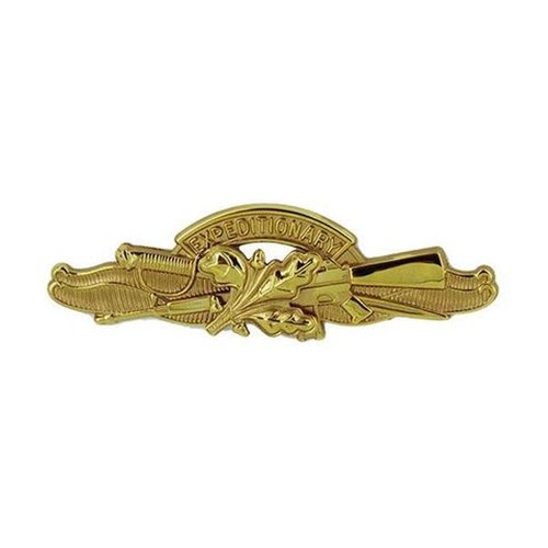 Navy Badge Regulation Size Expeditionary Warfare Supply Officer | eBay