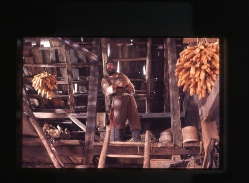 Fiddler on the Roof Topol Singing in Barn Original 35mm Transparency ...