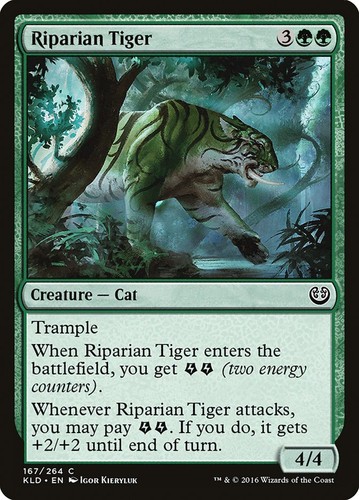 Riparian Tiger | MtG Magic Kaladesh | English | Near Mint-Mint (NM-M ...