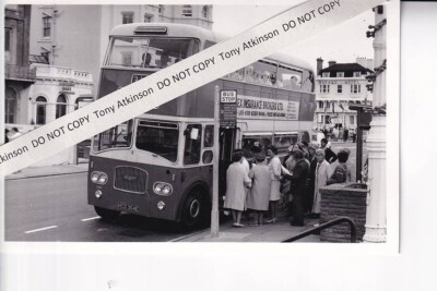 Southdown for sale | eBay