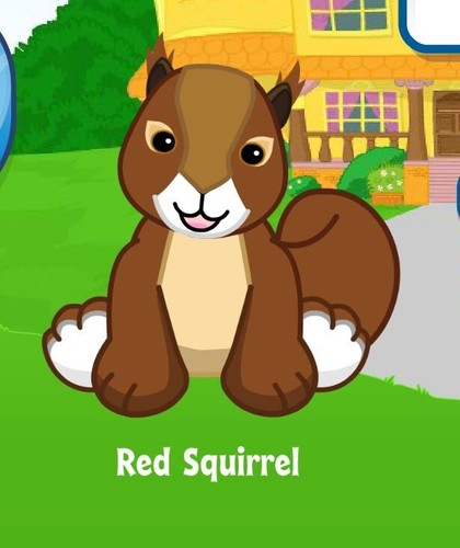 Webkinz Classic Red Squirrel - Promo - RETIRED Adoption Code Only RARE ...