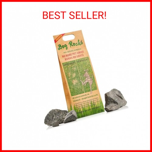 Dog Rocks Dog Pee Grass Neutralizer for Green Grass in 3-5 Weeks | Dog ...