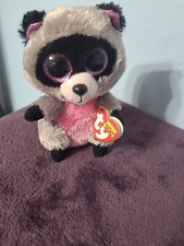 Rocco the Raccoon - Beanie Boos - Beaniepedia