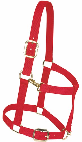 Weaver Leather Original Adj Nylon Draft Halter Medium 1 1/2" Red 35-7635-RD | eBay