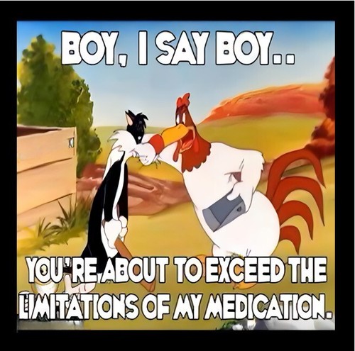 Boy I Say You're About To Exceed The Limitation FogHorn Cartoon -MAGNET ...