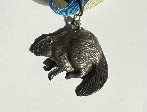 Vintage 1980 Boy Scouts of America BSA Silver Beaver Award Medals | eBay
