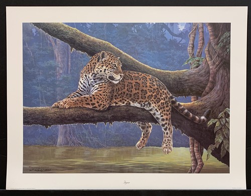Ray Reibel Limited Edition Signed Print “Jaguar” Forest | eBay