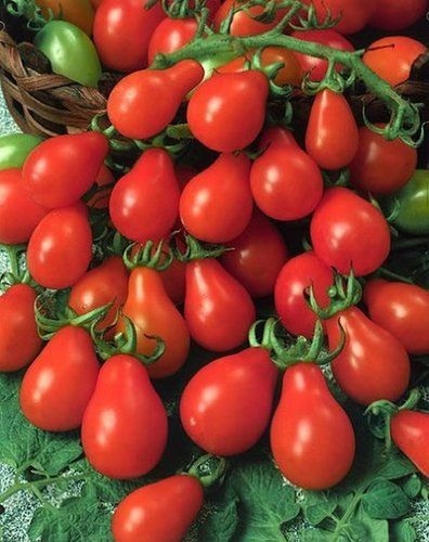 1 oz Red Pear Tomato Seed, Non-Gmo Heirloom Tomatoes, Huge Tasty Crops ...