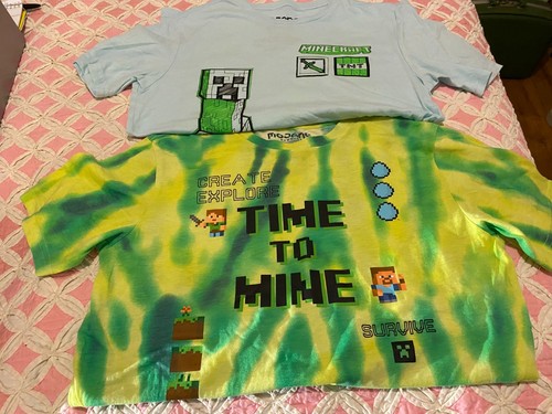 Lot of 2 Boys Size 18 Minecraft T-Shirts-Gently Used Condition!! | eBay