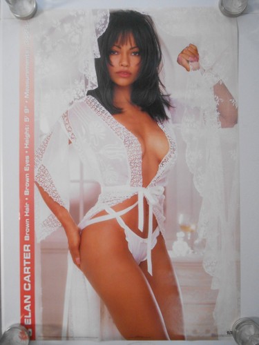 Poster Playboy playmate Elan Carter 1994 23 x 35 mancave wall garage | eBay