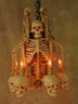 Skeleton Ceiling Fan w/ Skulls, Halloween Prop, Human Skeletons | eBay